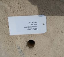 FireBoulder | Timeless Stone and Brilliant Fire